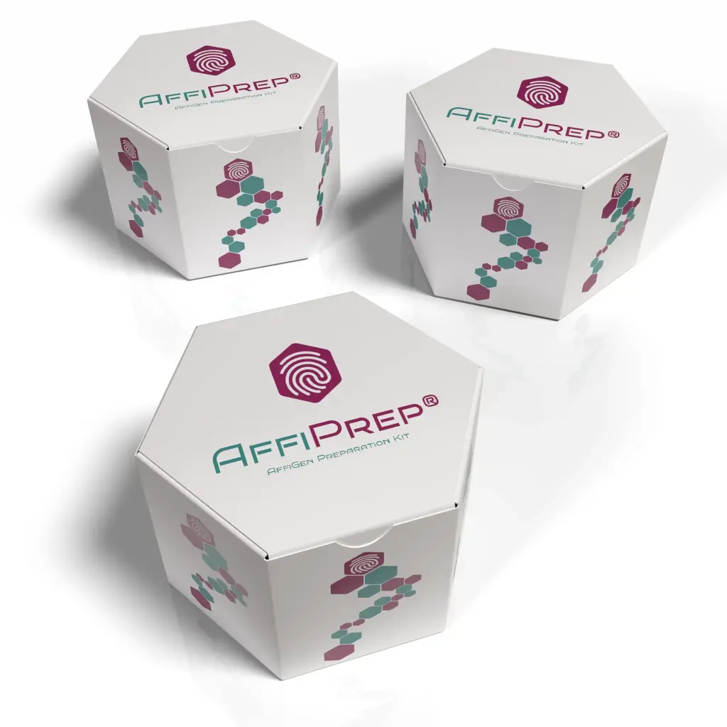 Advancements in Non-Ultracentrifugation Methods for Plasma Membrane ...